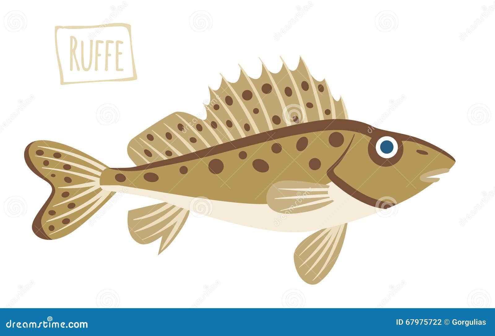 Ruffe, Vector Cartoon Illustration | CartoonDealer.com #67975722