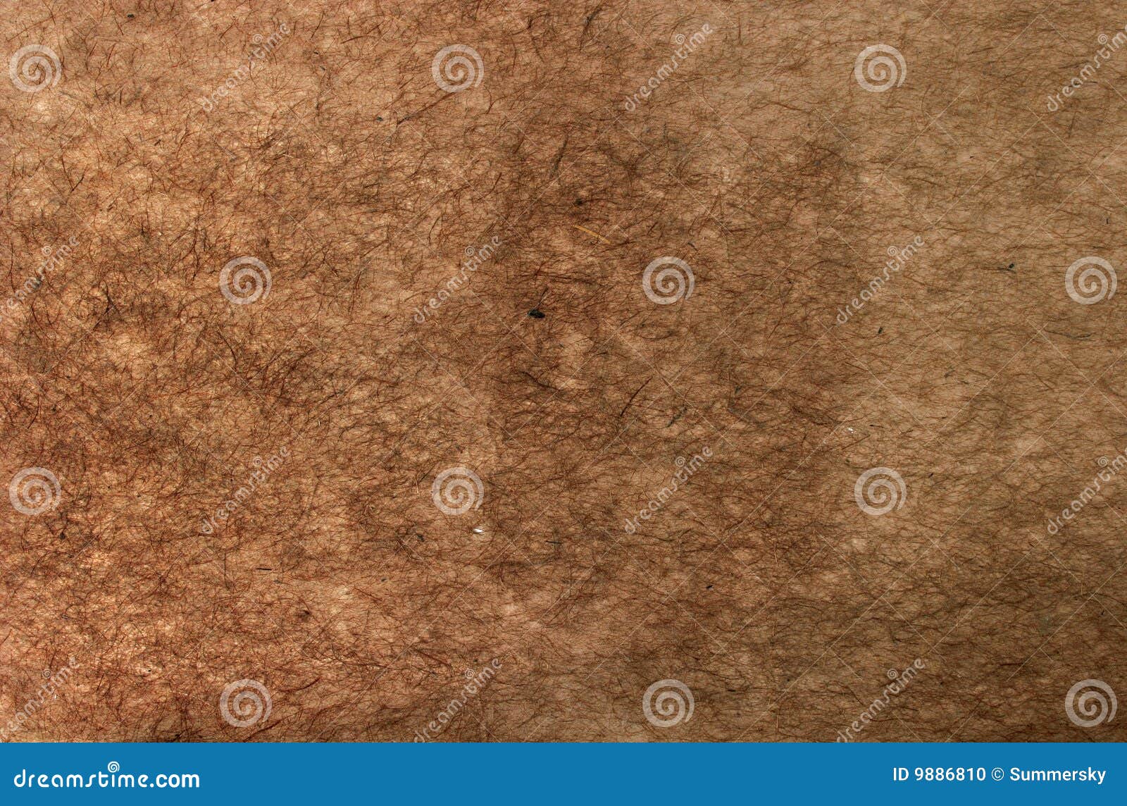 Ruffled Brown Paper stock photo. Image of design, detailed - 9886810