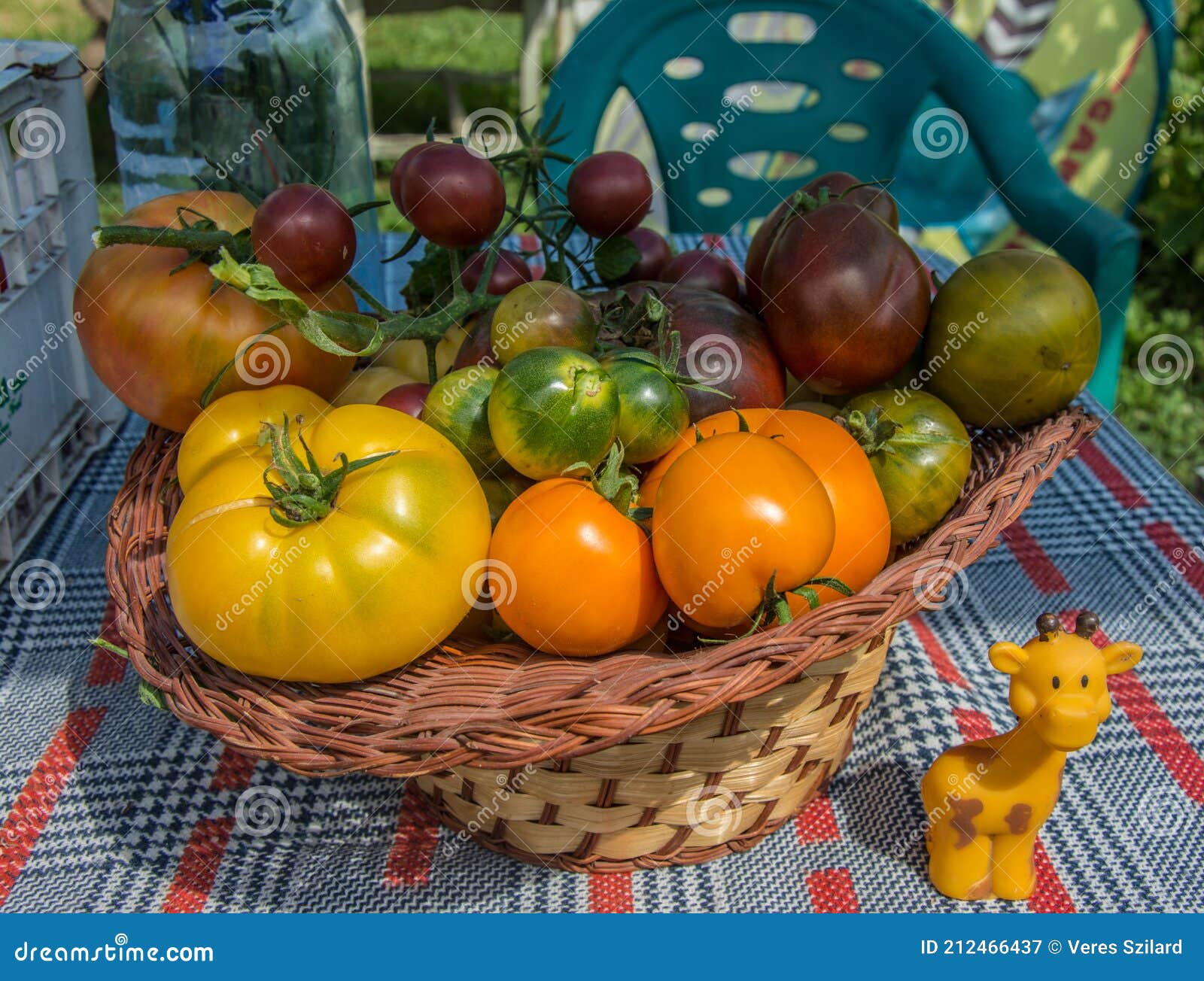 Ruffled Heirloom Tomatoes Organic Vegetables Stock Image - Image of ...