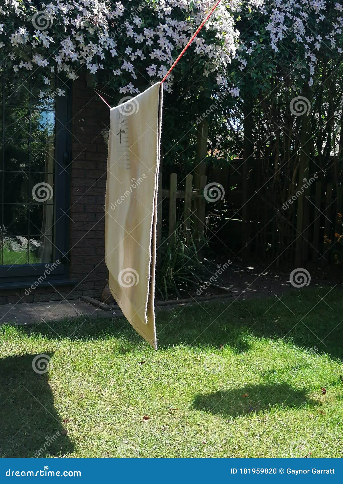 Rug drying on the line stock photo. Image of drying - 181959820
