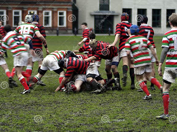 Rugby stock photo. Image of athletic, ball, compete, tackle - 2015410