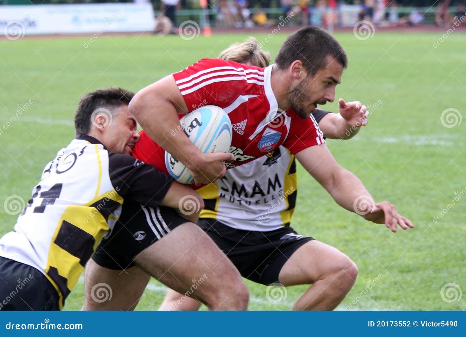Rugby editorial photography. Image of champion, game - 20173552
