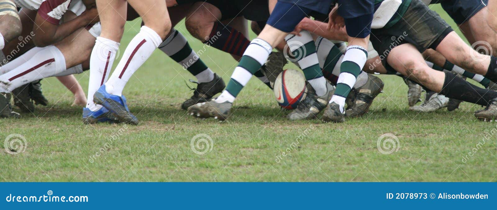 Rugby stock image. Image of playing, scrummage, play, leisure - 2078973