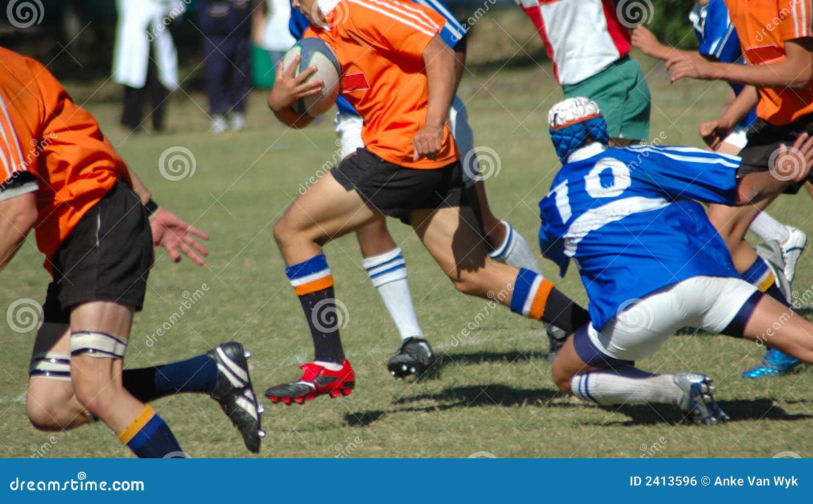 Rugby stock photo. Image of caucasian, champions, arms - 2413596