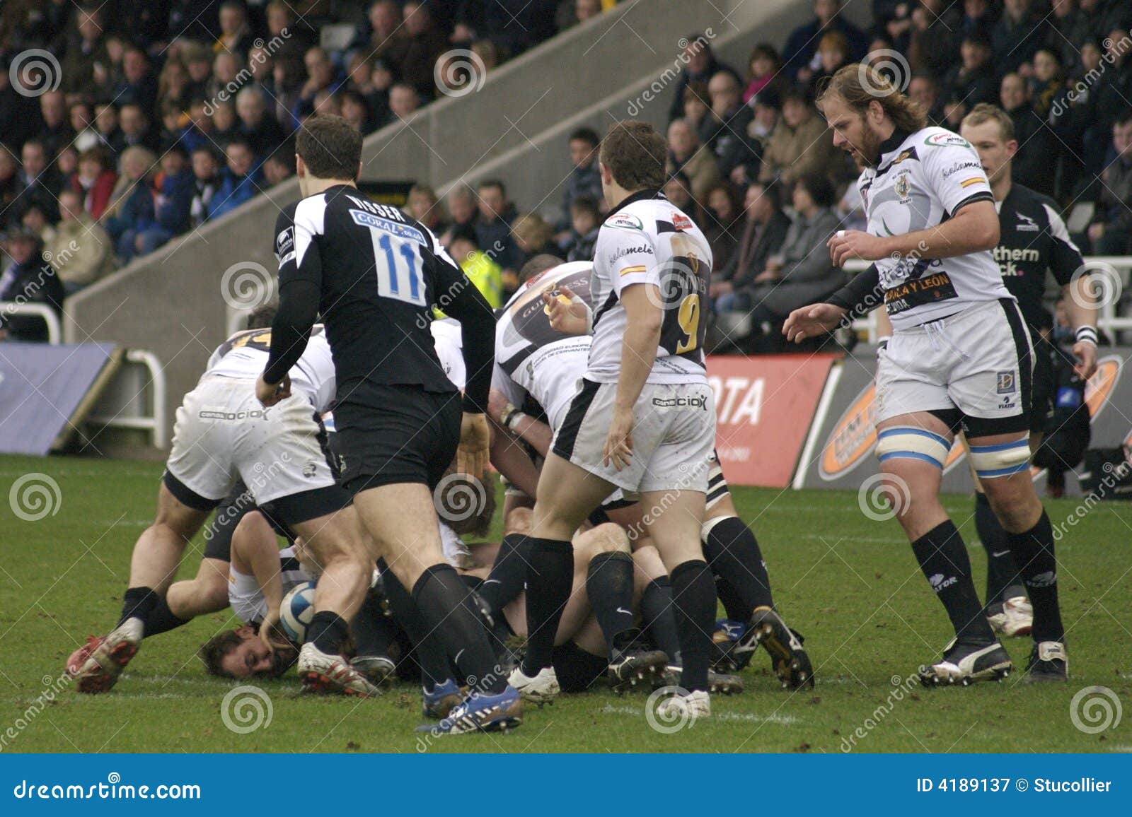 Rugby editorial photography. Image of goal, muck, impact - 4189137