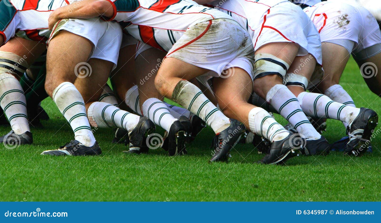 Rugby stock image. Image of rugby, ball, strength, physical - 6345987