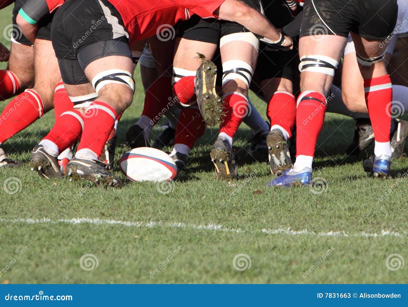 Rugby stock image. Image of sport, physical, rugby, hands - 7831663