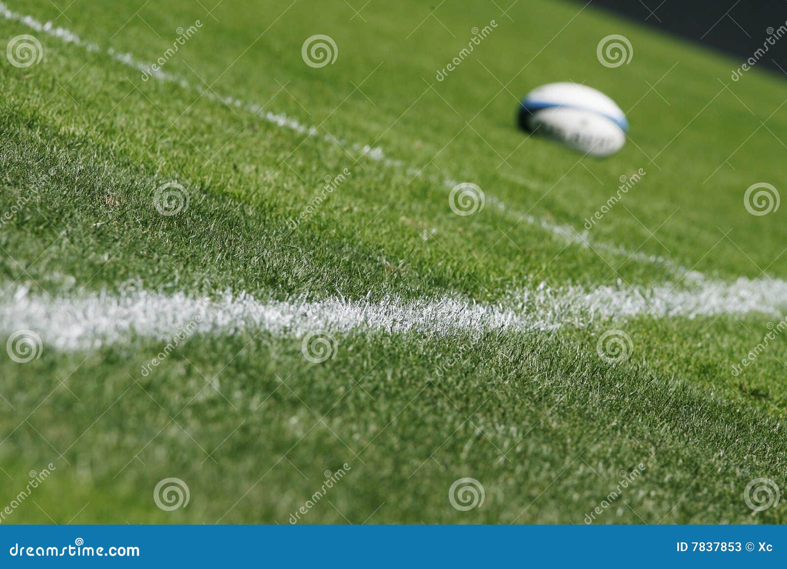Rugby stock image. Image of ball, oval, athletic, team - 7837853