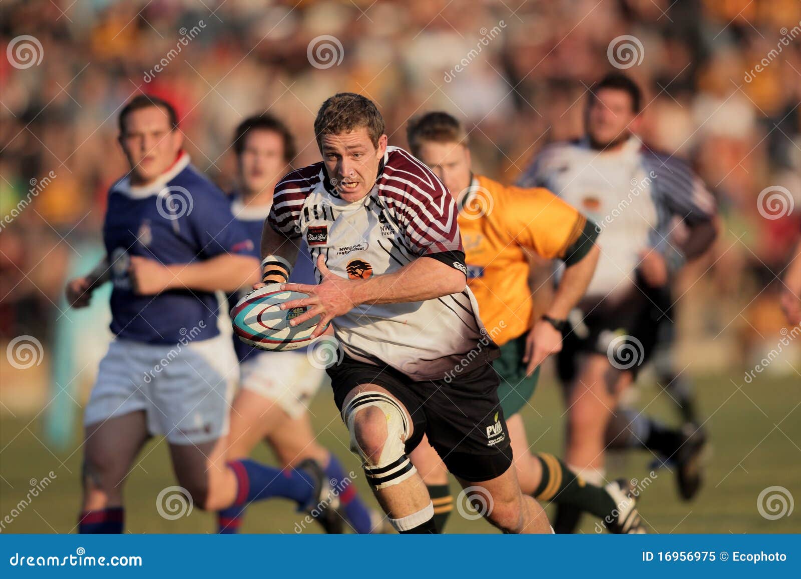 Rugby action editorial image. Image of match, play, outdoors - 16956975
