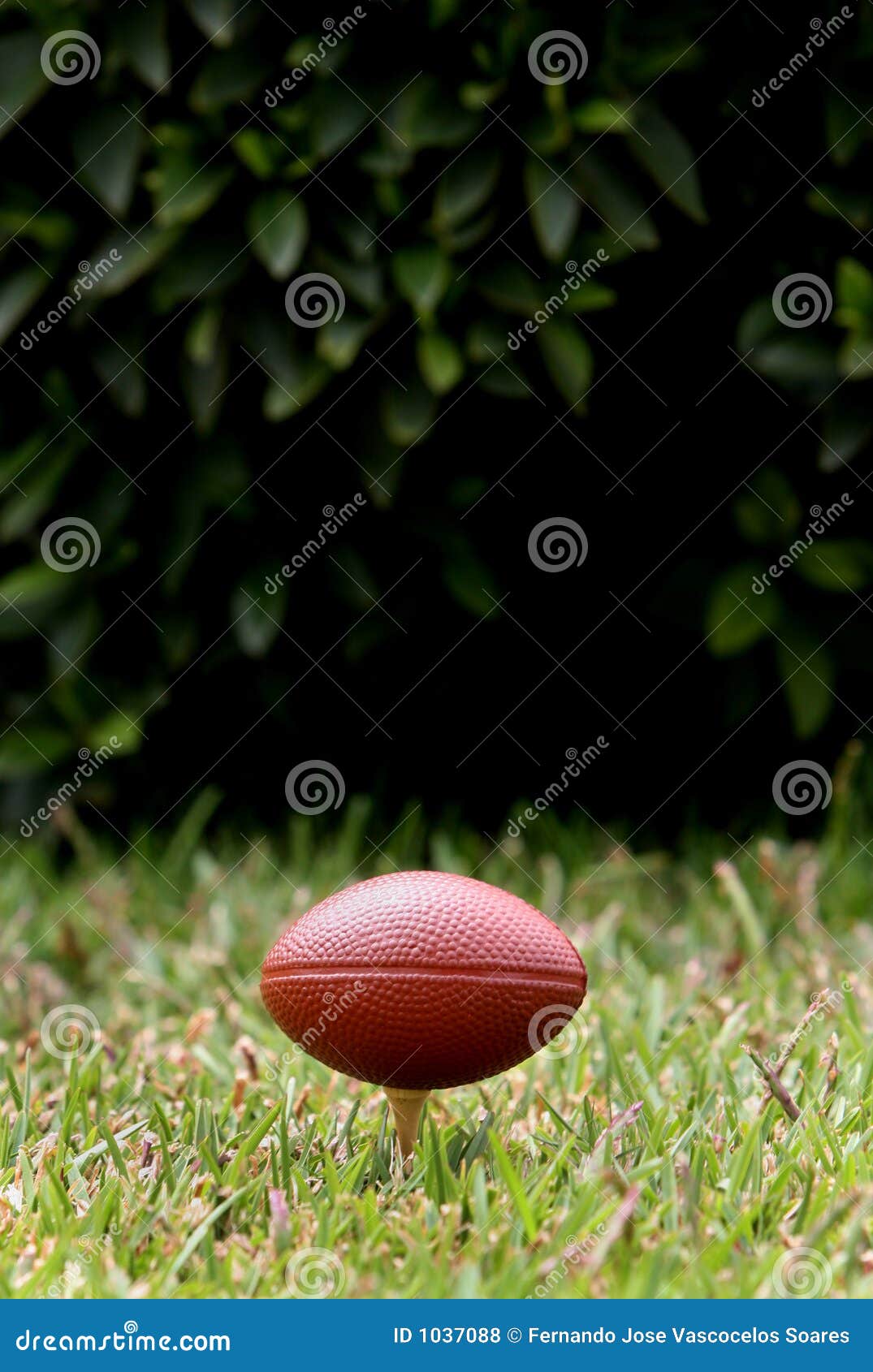 Rugby ball stock photo. Image of ball, grass, sport, play - 1037088