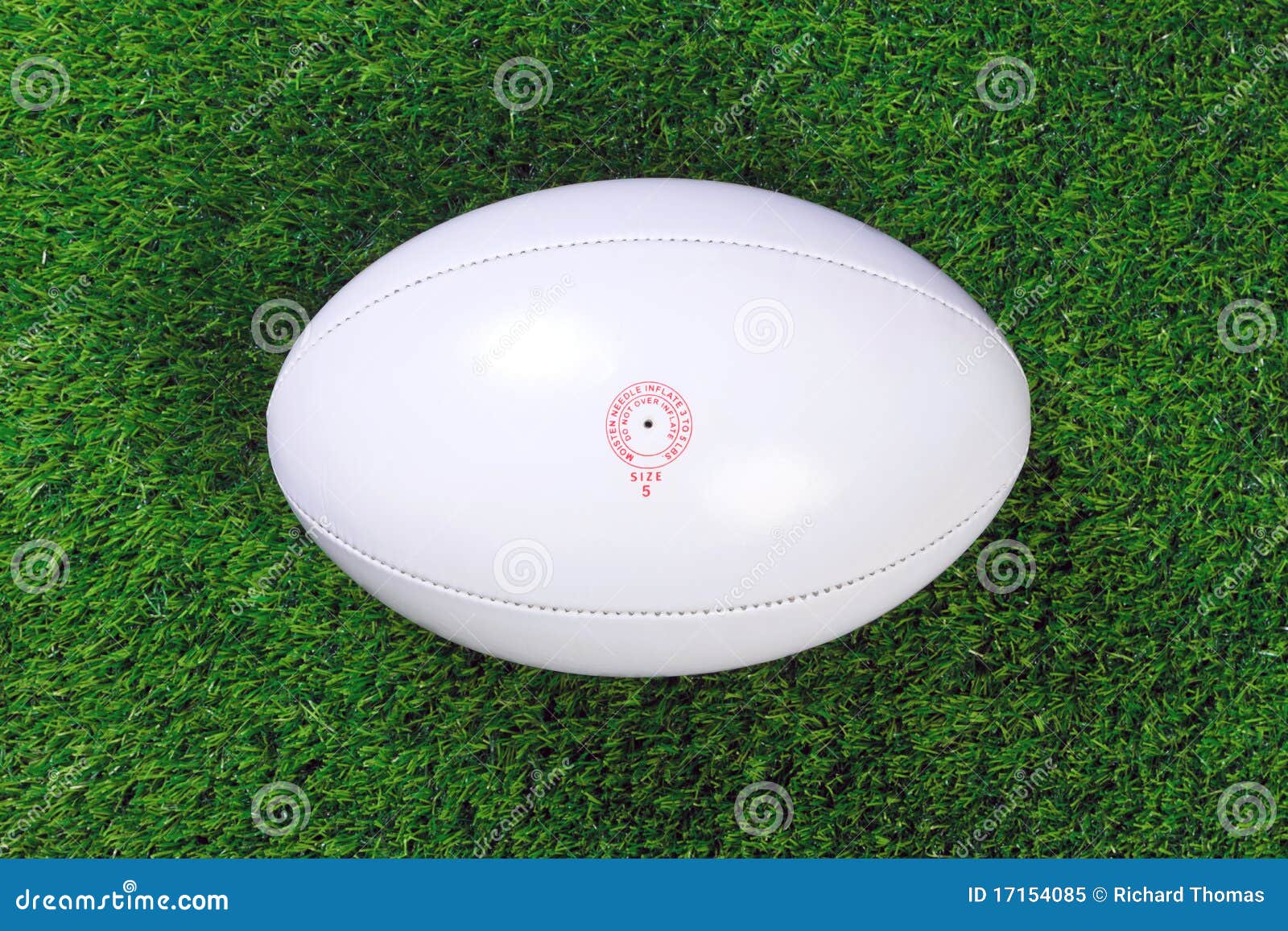 Rugby ball on grass stock image. Image of pitch, green - 17154085