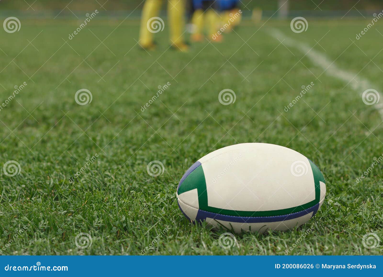 Rugby ball on green grass stock photo. Image of ground - 200086026