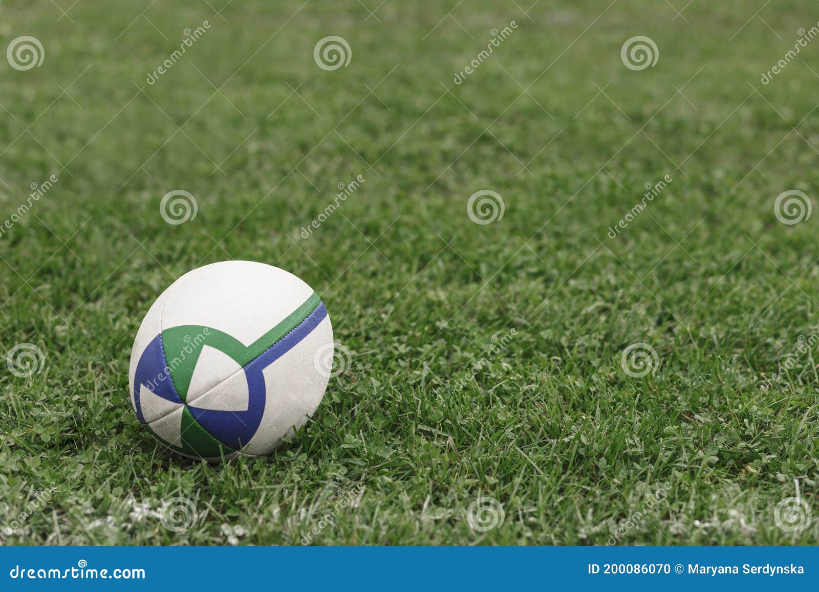 Rugby ball on green grass stock photo. Image of background - 200086070