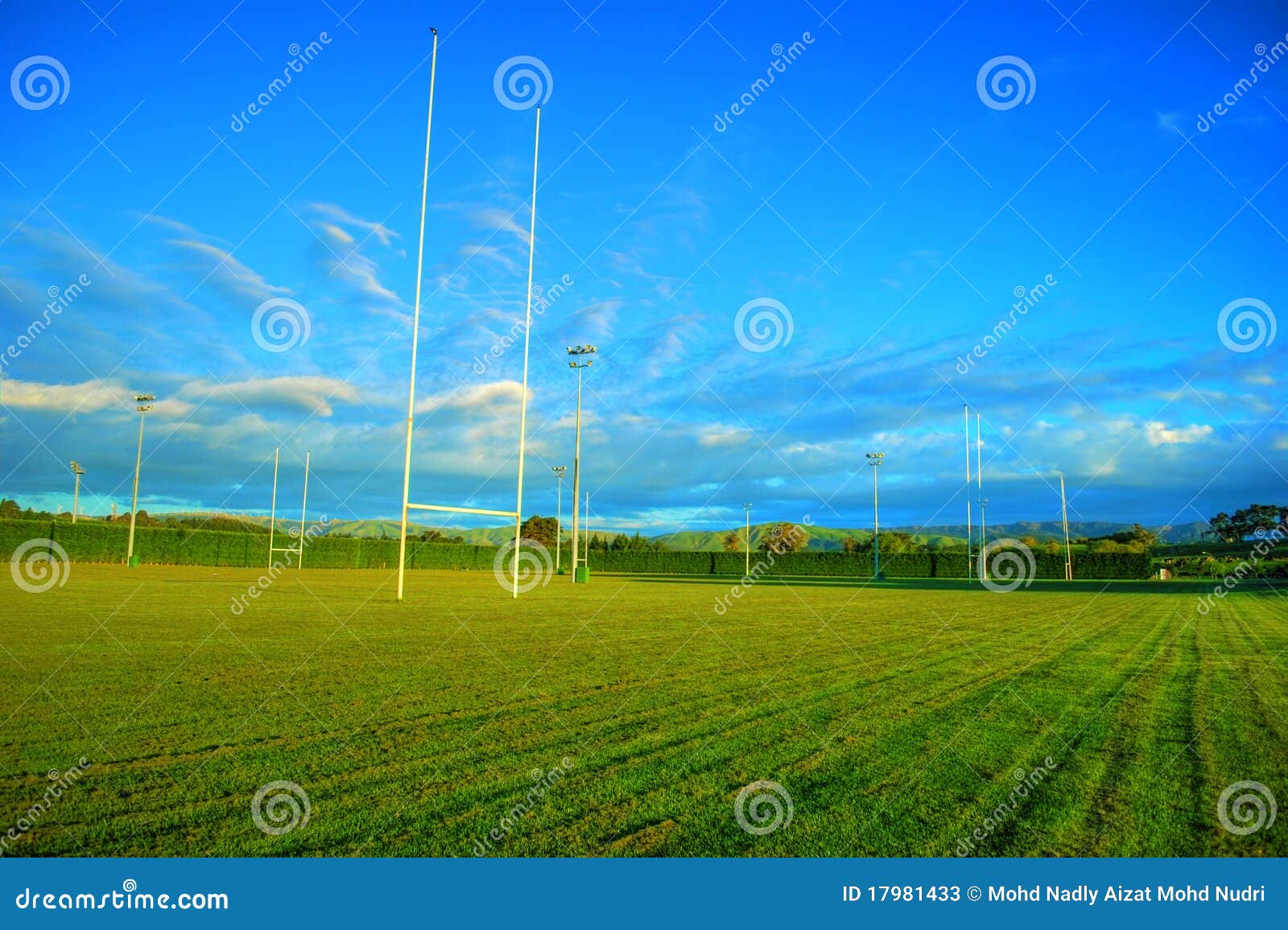 125 Rugby Fields Stock Photos - Free & Royalty-Free Stock Photos from ...