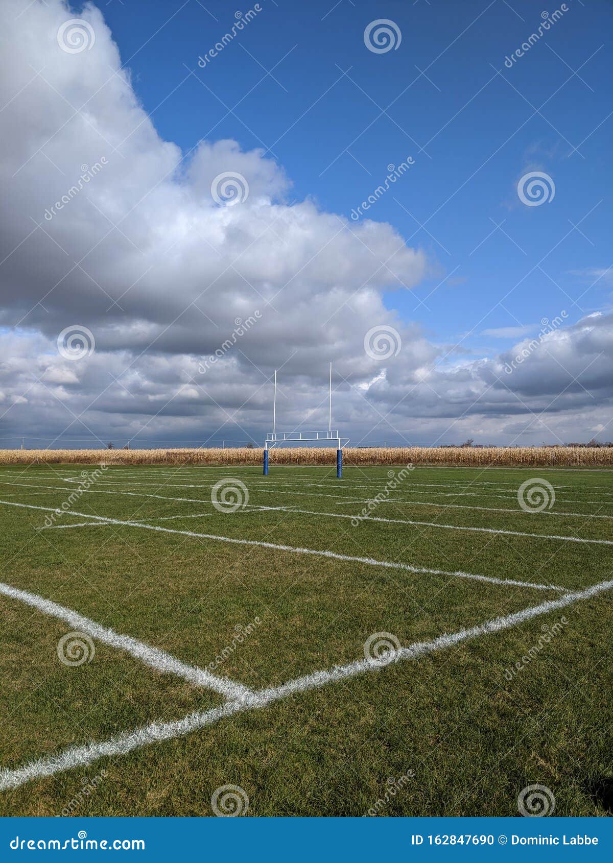 Rugby field stock photo. Image of sport, field, fall - 162847690