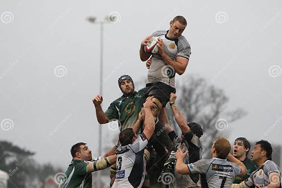 Rugby line out editorial stock photo. Image of sport, junping - 4646688