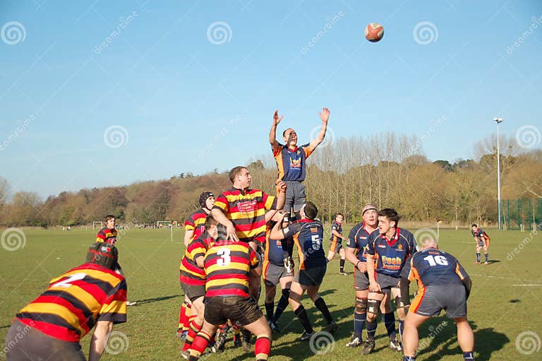 Rugby Line-Out editorial image. Image of lineout, sport - 8362165