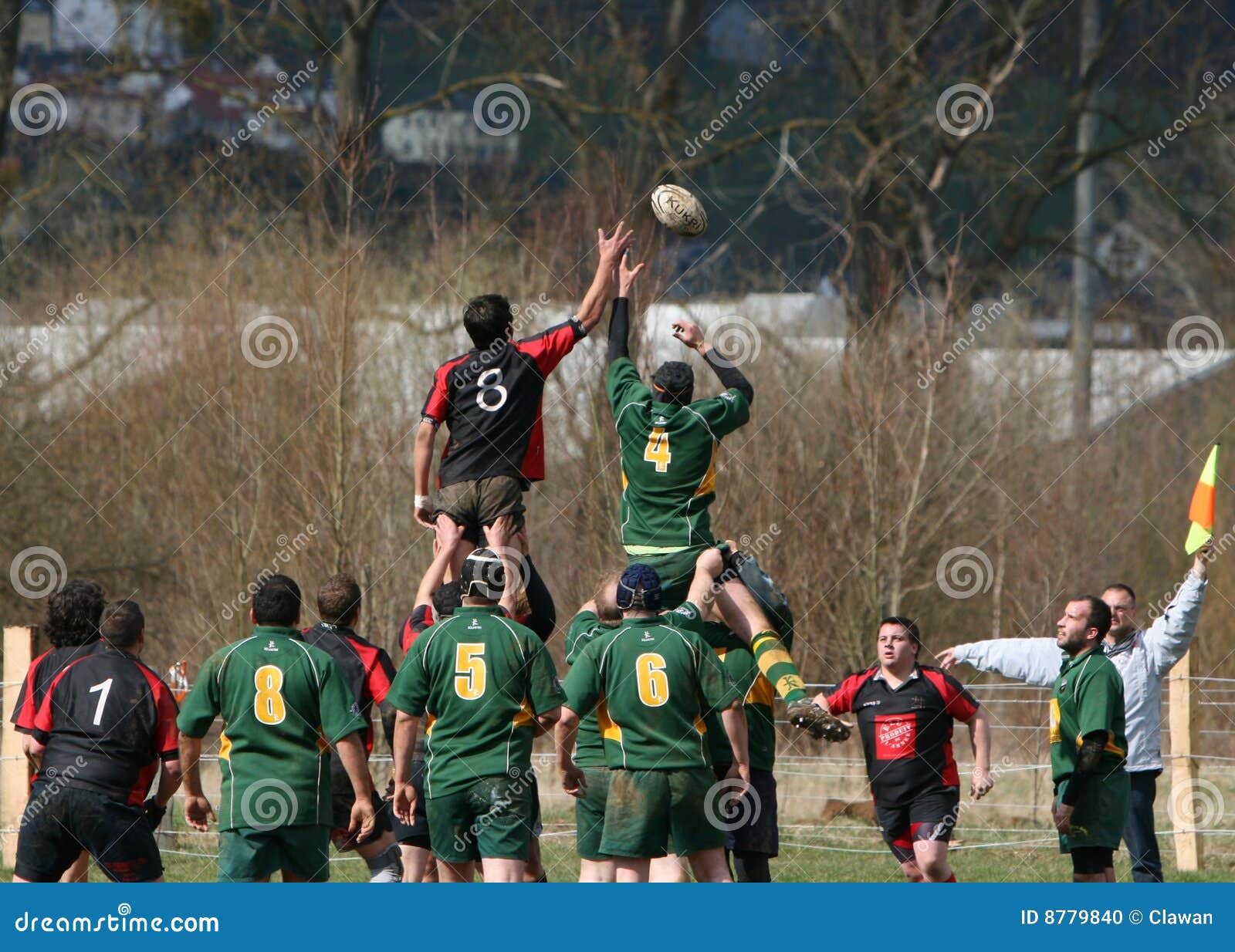 Rugby line-out editorial image. Image of field, motion - 8779840