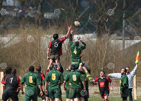Rugby line-out editorial image. Image of field, motion - 8779840