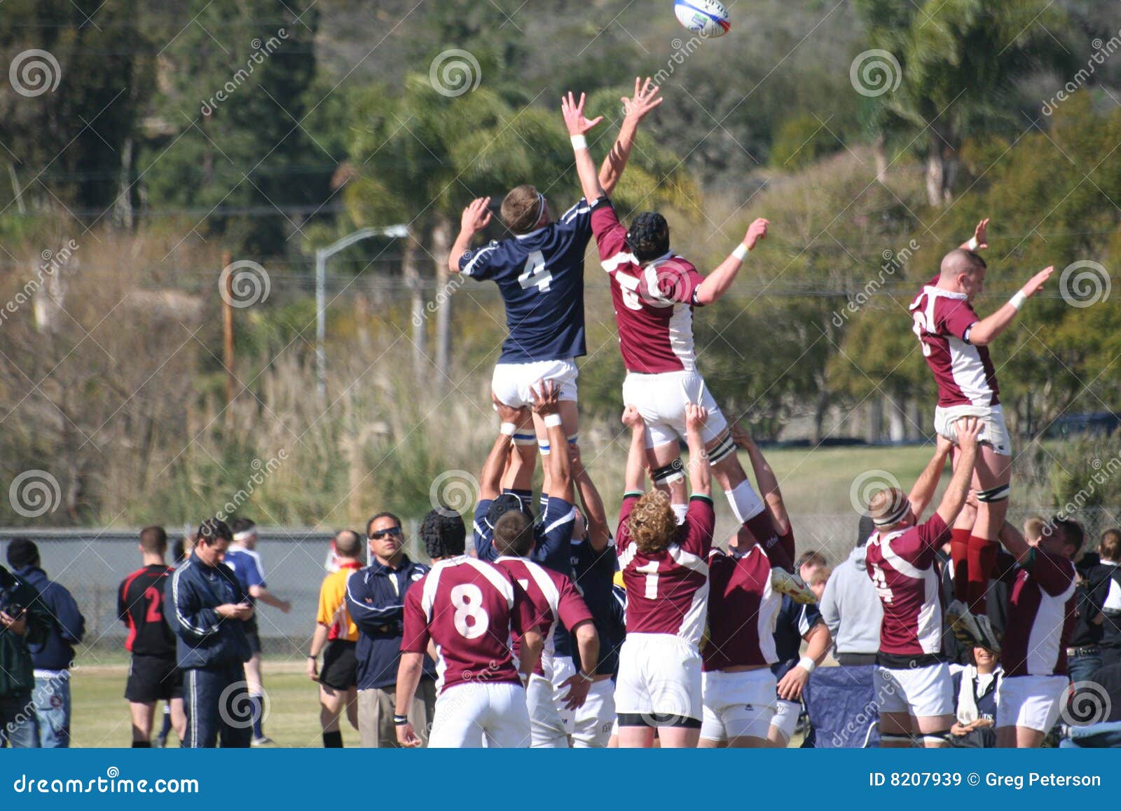 Rugby Lineout Throw Waitemata Vs Waitakere City Editorial Photo ...