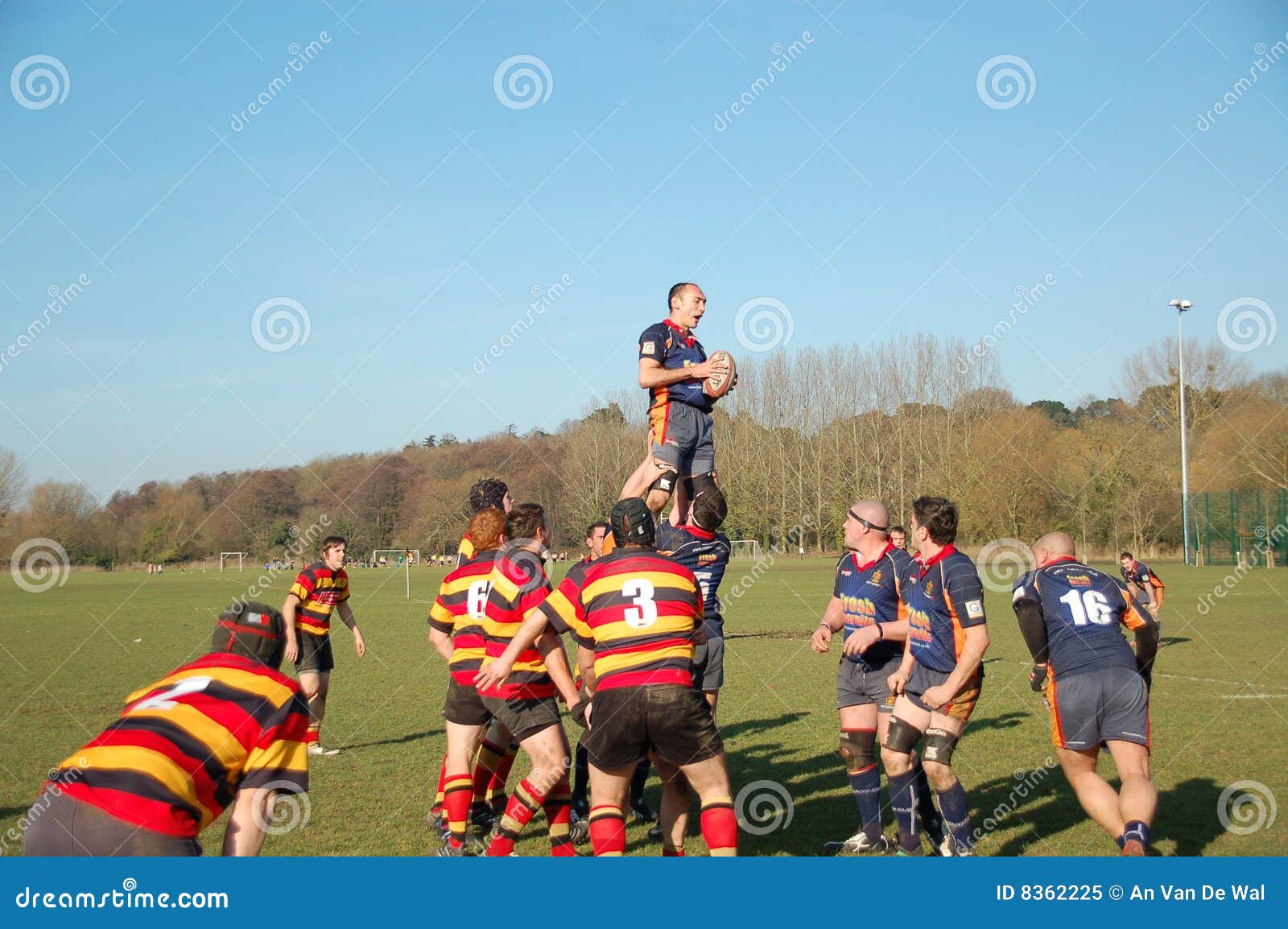 Rugby lineout editorial image. Image of scottish, lift - 8362225