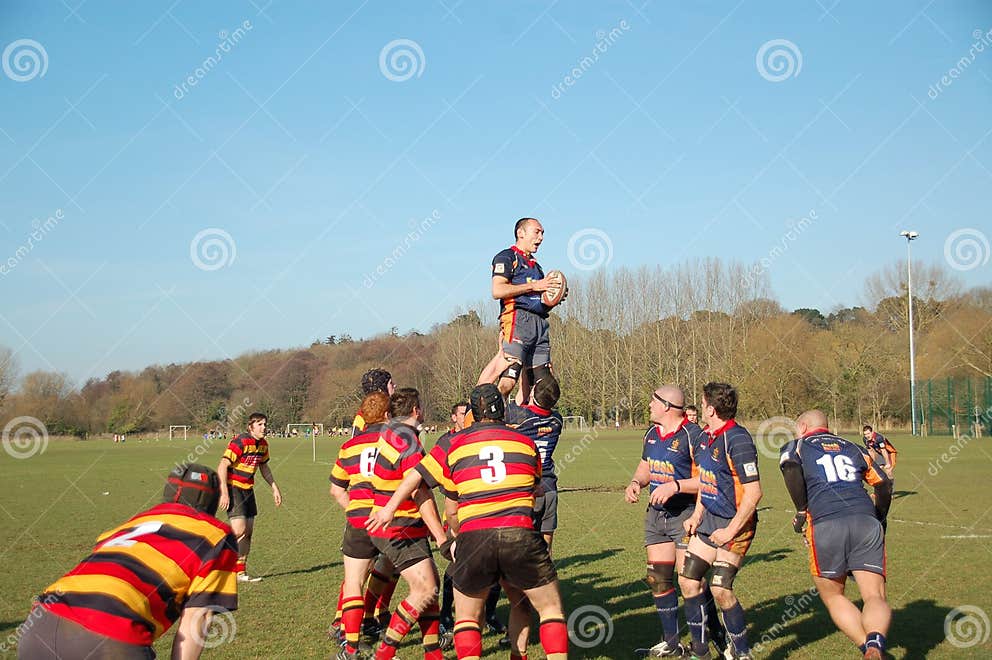 Rugby lineout editorial image. Image of scottish, lift - 8362225