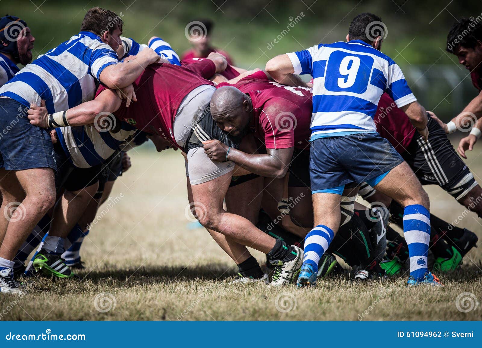 Rugby editorial photography. Image of game, isolated - 61094962