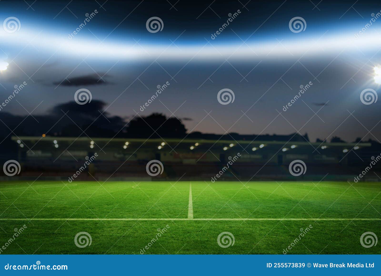 Rugby pitch stock illustration. Illustration of people - 255573839
