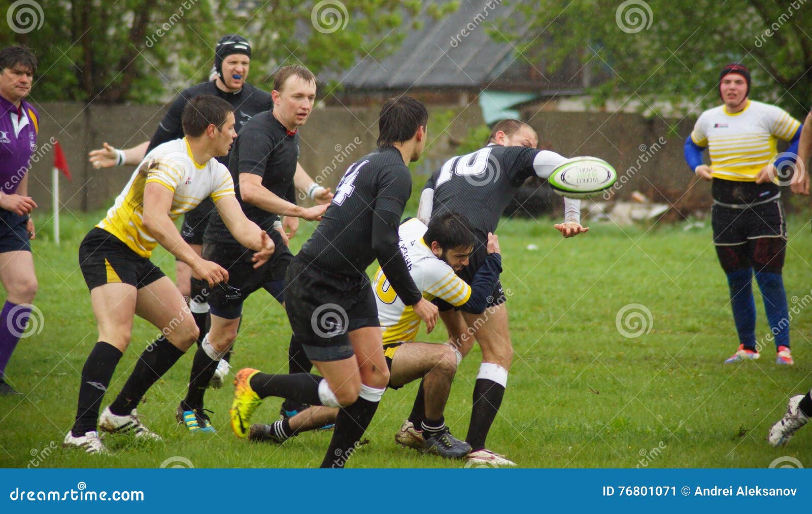 Rugby play editorial photo. Image of game, match, green - 76801071