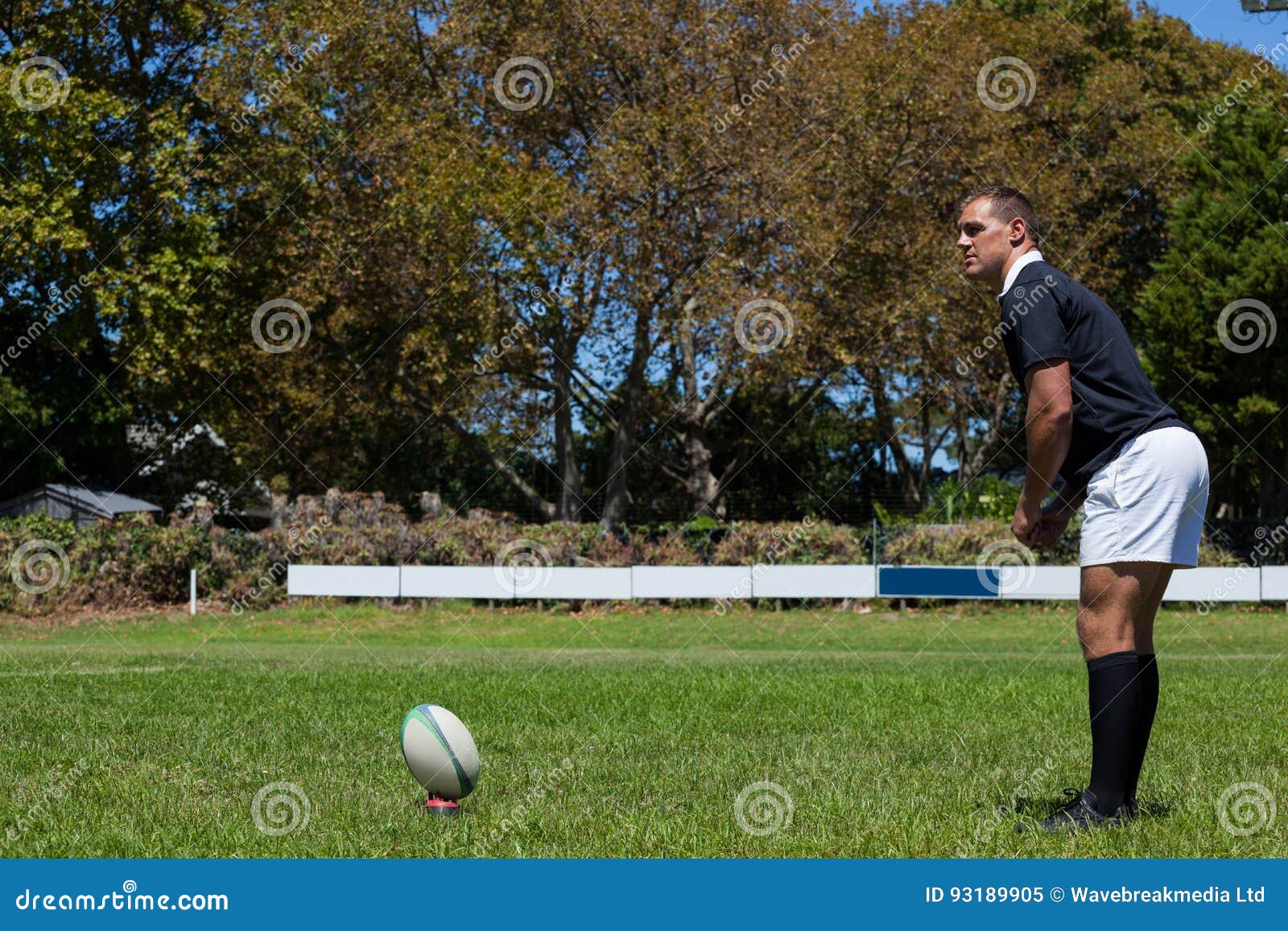 Rugby Player Playing on Grassy Field Against Trees Stock Image - Image ...