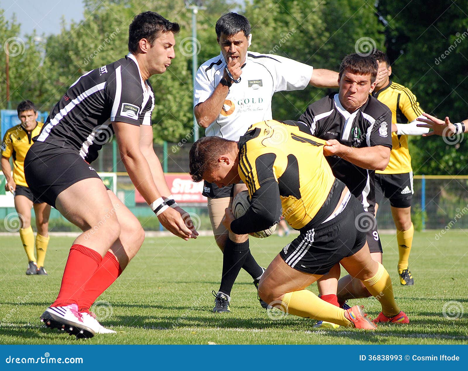 Rugby Players Fight for Ball Editorial Stock Photo - Image of fault ...