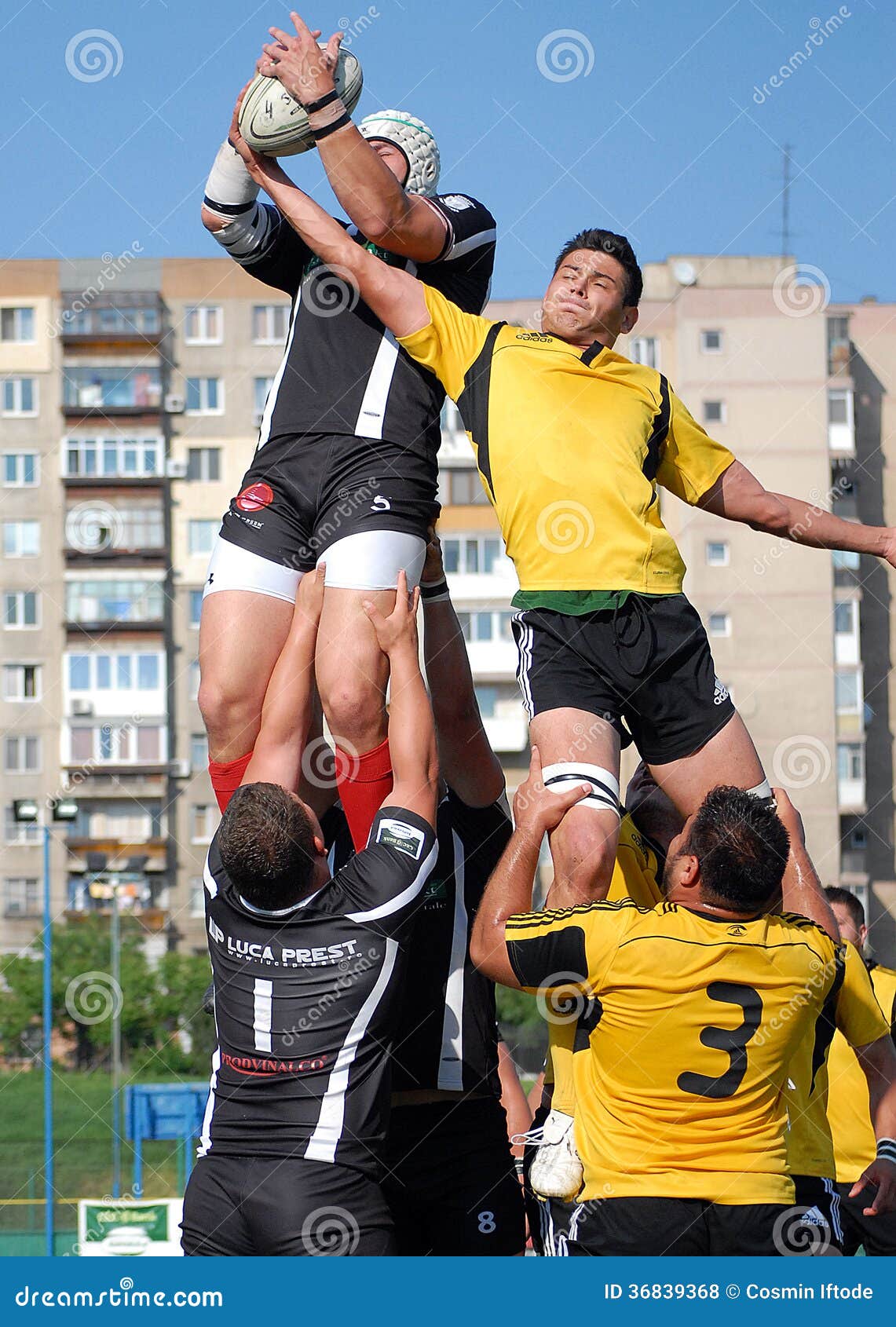 Rugby Players Fight for Ball Editorial Stock Photo - Image of defeat ...