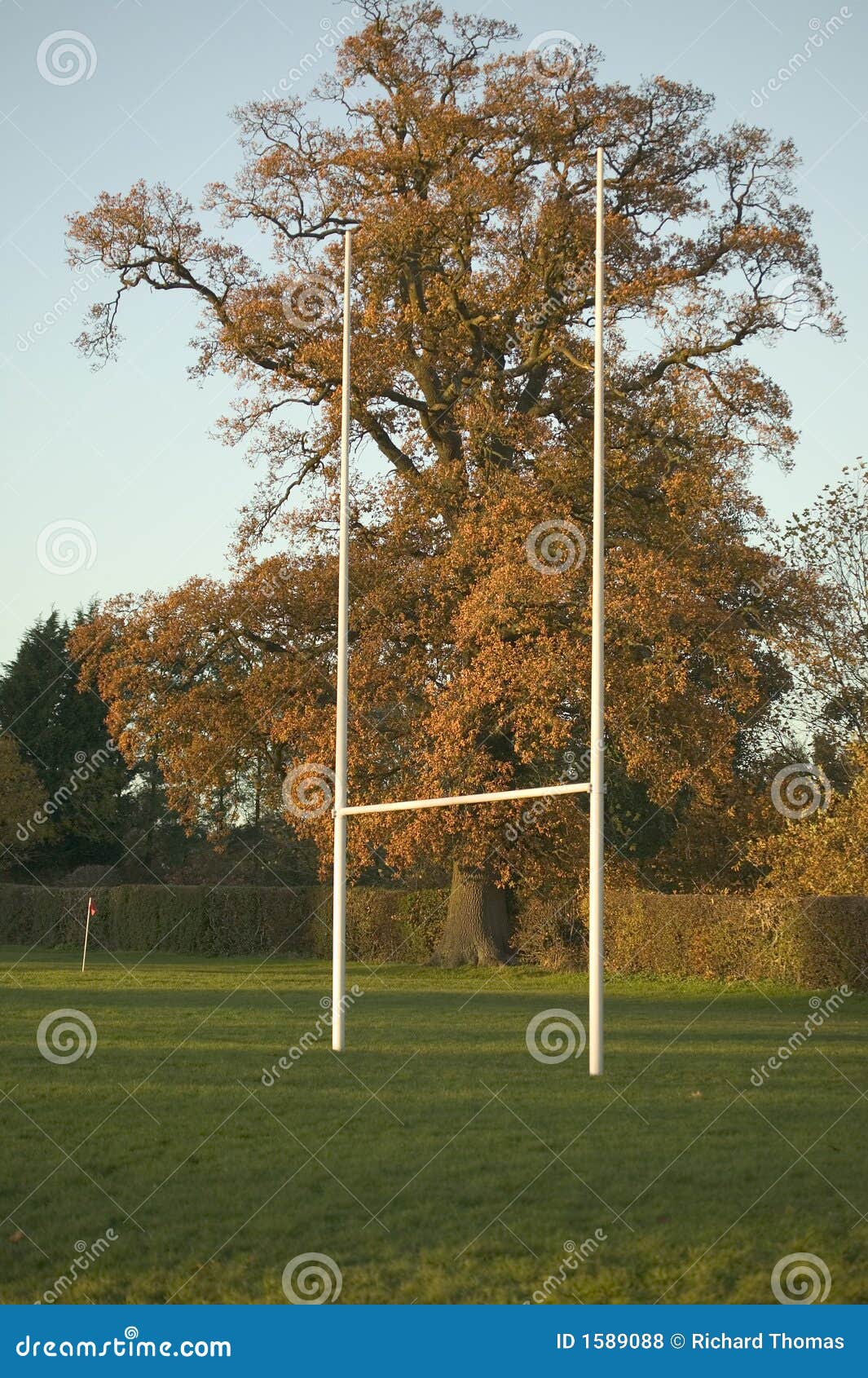 Rugby post stock photo. Image of flag, autumn, tree, team - 1589088