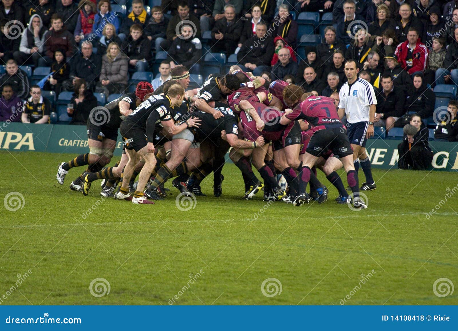 Rugby scrum editorial stock photo. Image of ball, blues - 14108418