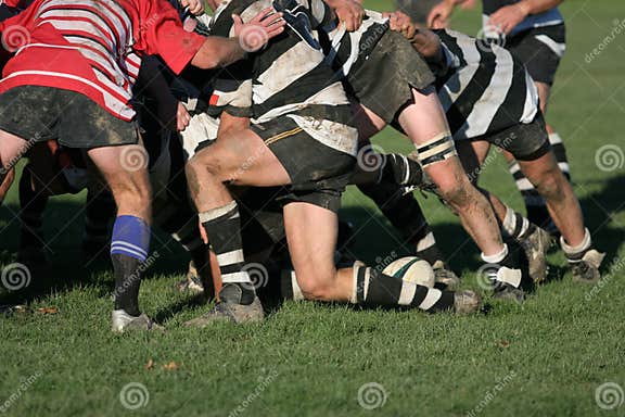Rugby Scrum stock image. Image of kick, challenge, rough - 460355