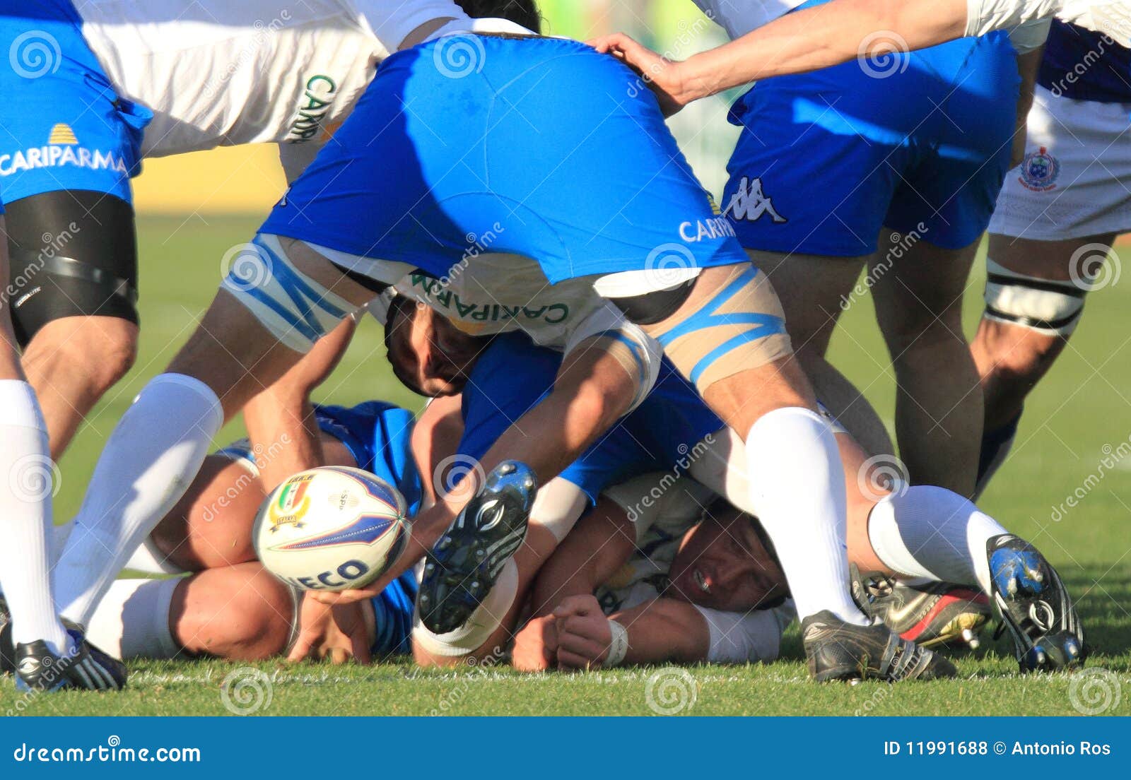 Rugby Test Match Italy Vs Samoa; Tebaldi Editorial Stock Photo - Image ...