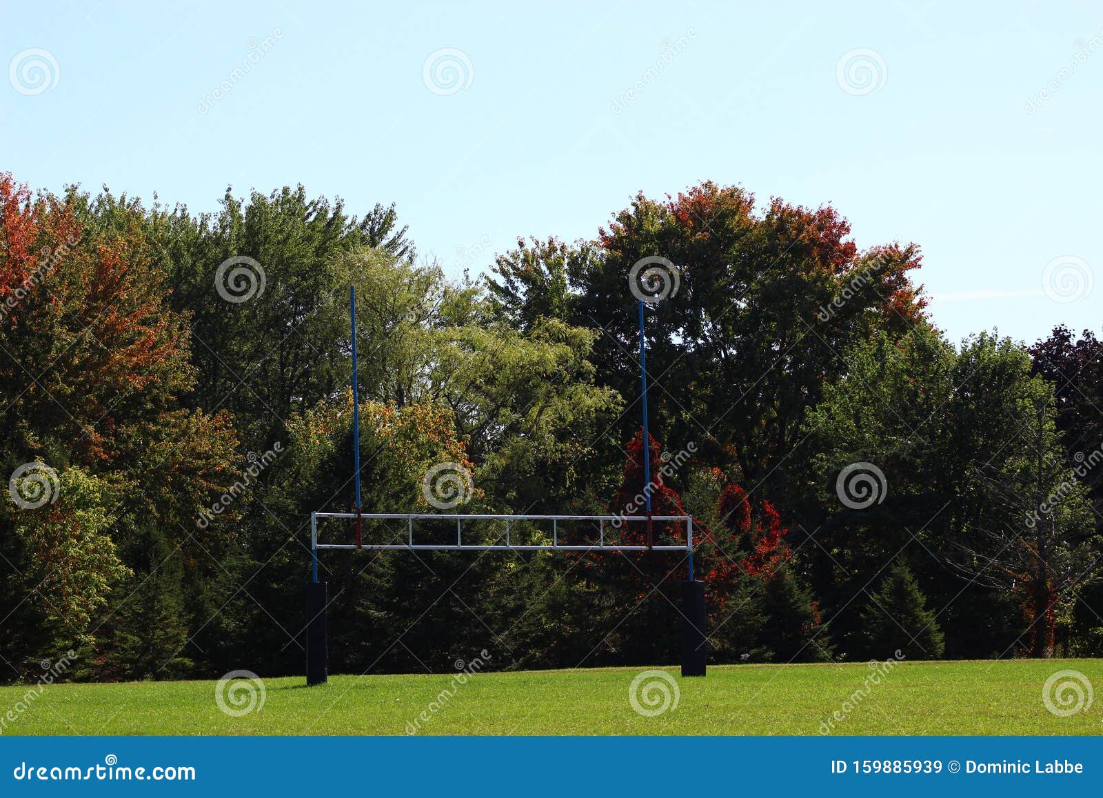 Rugby union stock image. Image of goal, tree, foliage - 159885939