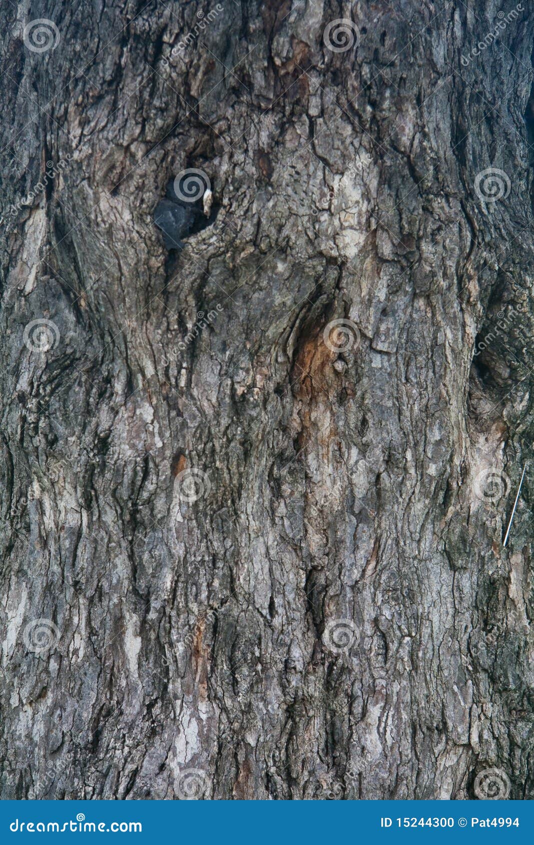 Ruge stock photo. Image of build, background, line, stroke - 15244300