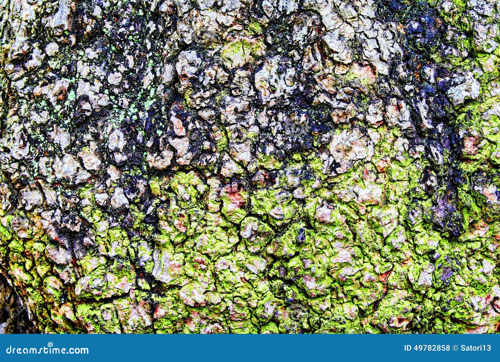 Rugged bark of a tree stock photo. Image of lumber, surface - 49782858