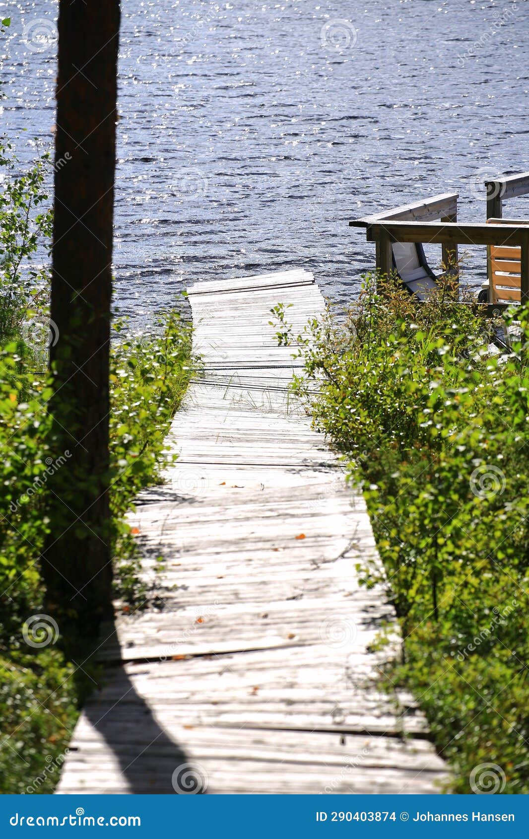 Rugged and Bumpy Walkway Leading into the Lake Stock Photo - Image of ...