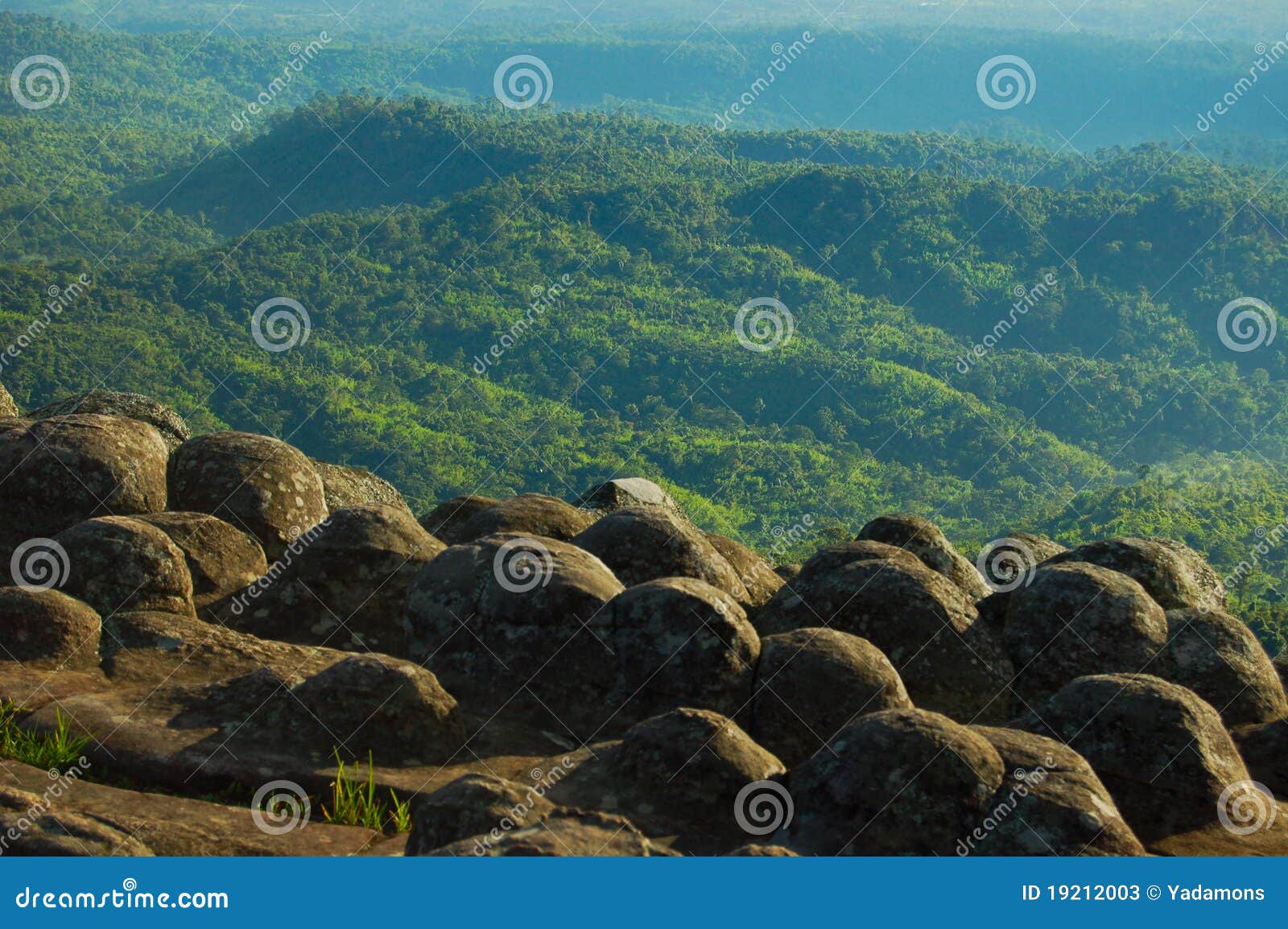 Rugged Cliff on Green Forest Stock Image - Image of rock, climb: 19212003