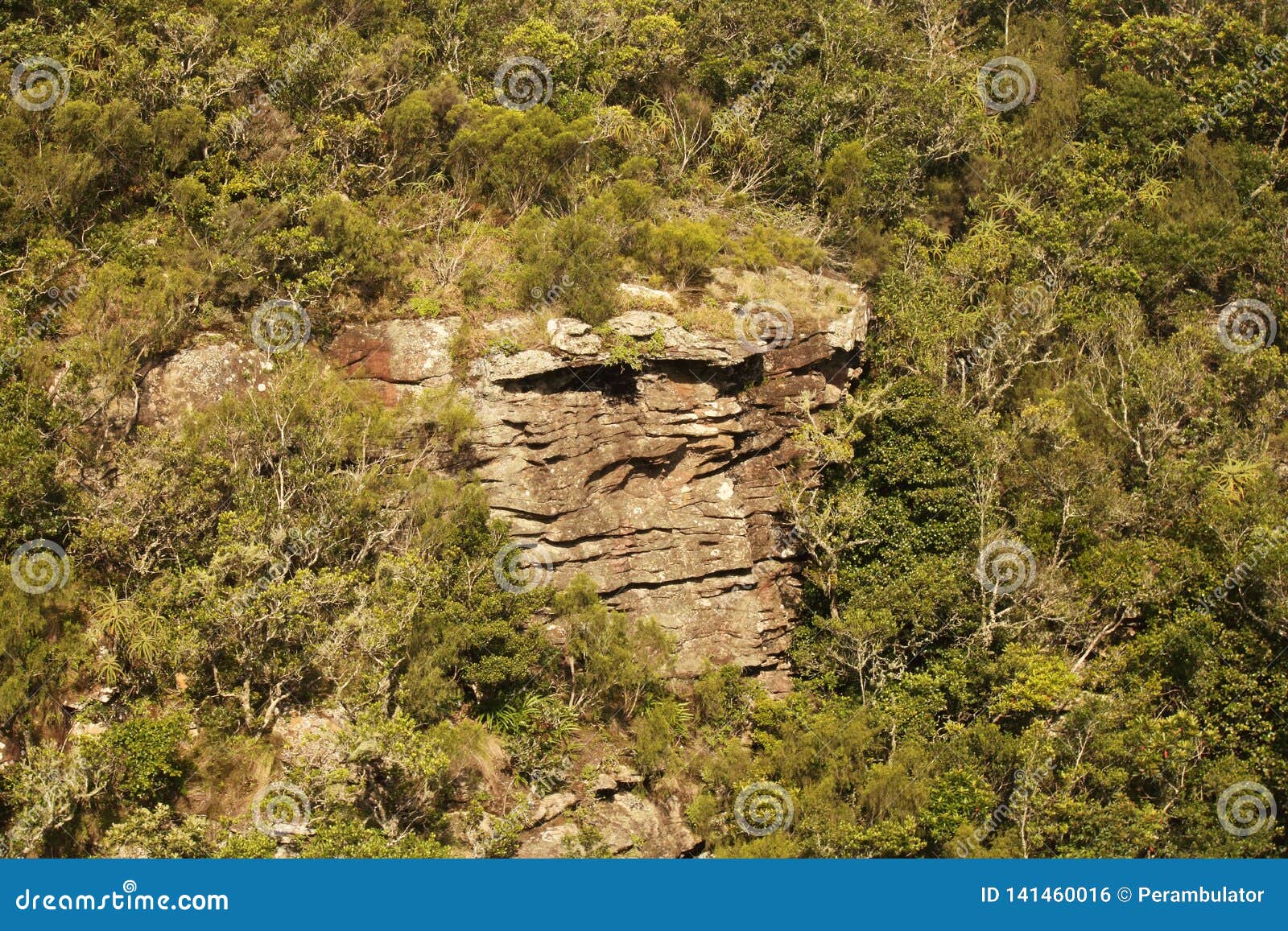 VEGETATION COVERED SLOPING SIDES OF A CANYON ADJACENT TO A RIVER ...