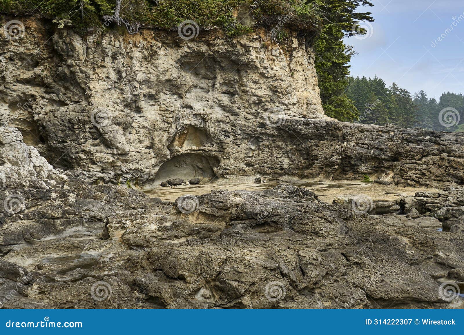 The Rugged Cliffs and Rocks at Botanical Beach, a Popular Tourist ...