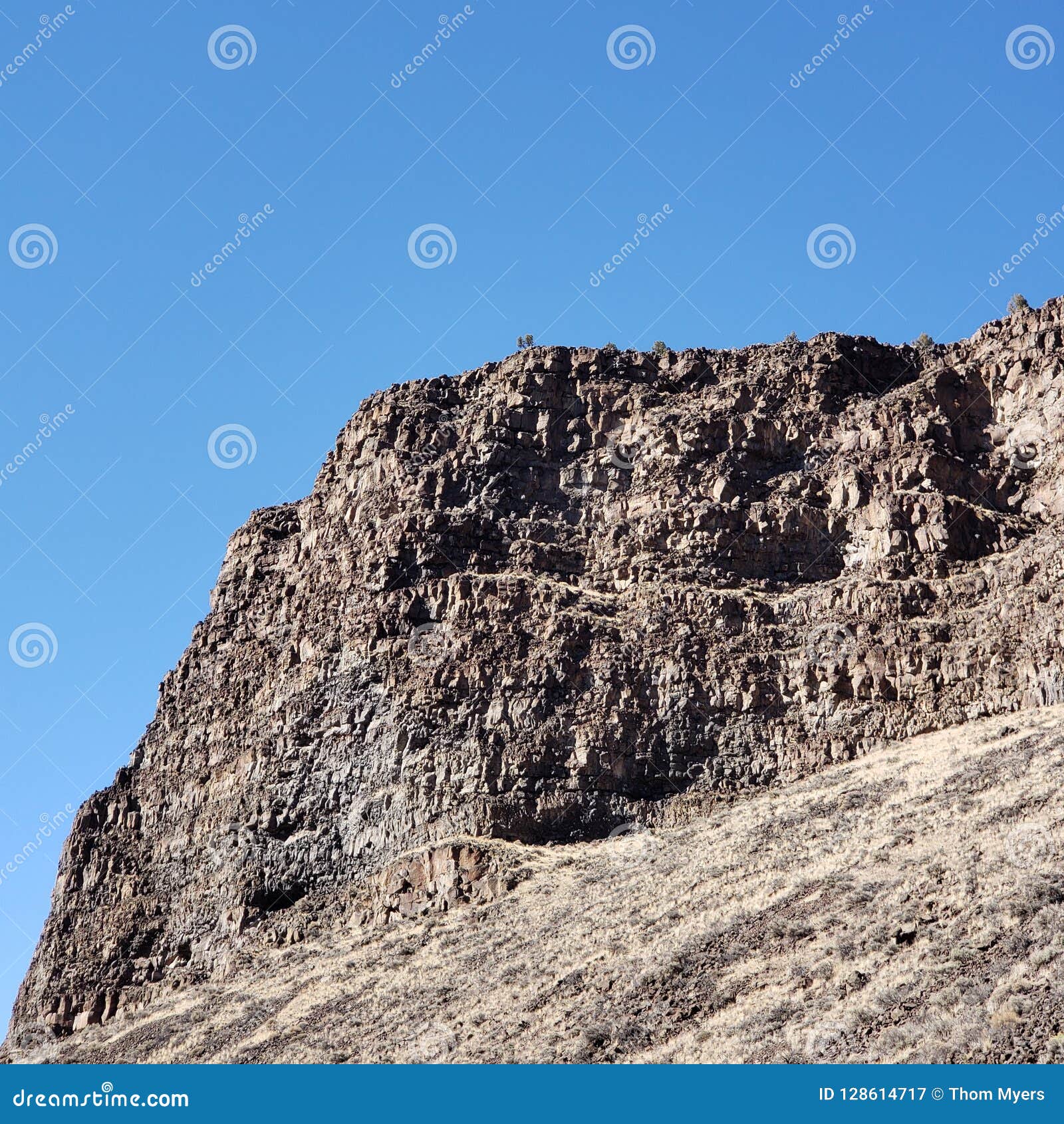 Rugged cliffs stock image. Image of beautiful, trees - 128614717