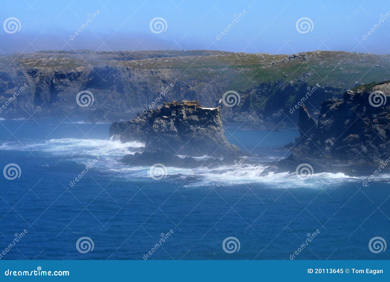 Rugged Coast stock image. Image of bonavista, line, rocks - 20113645