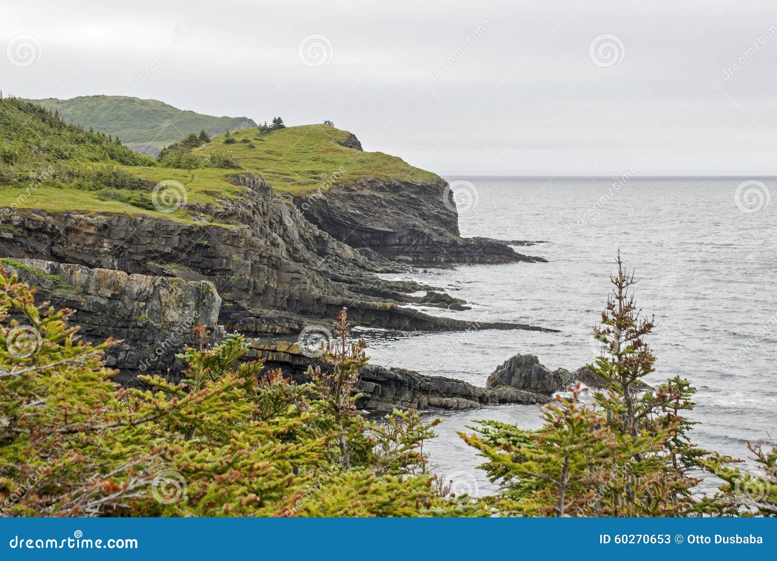 Rugged Coast in Newfoundland Stock Image - Image of trinity, canada ...