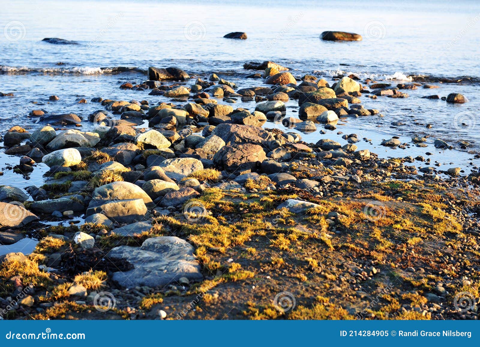 Rugged Coast stock image. Image of shoreline, colorful - 214284905