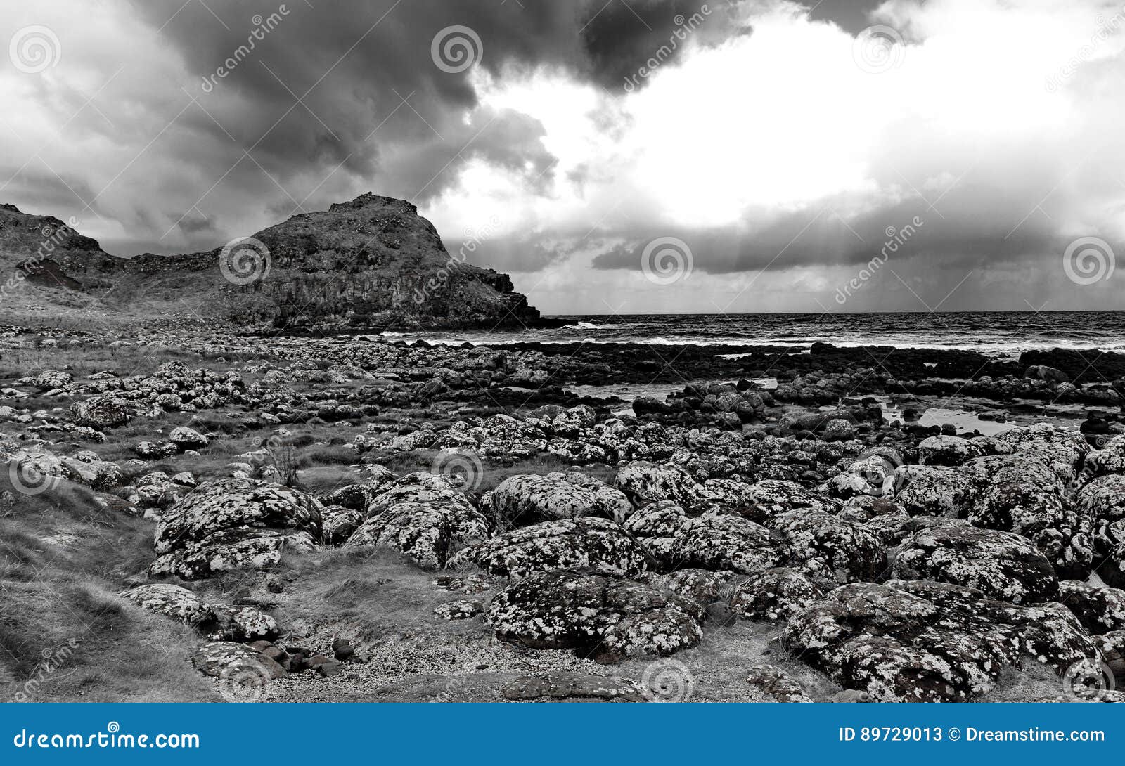White Rugged Wall Texture Stock Image | CartoonDealer.com #138868681