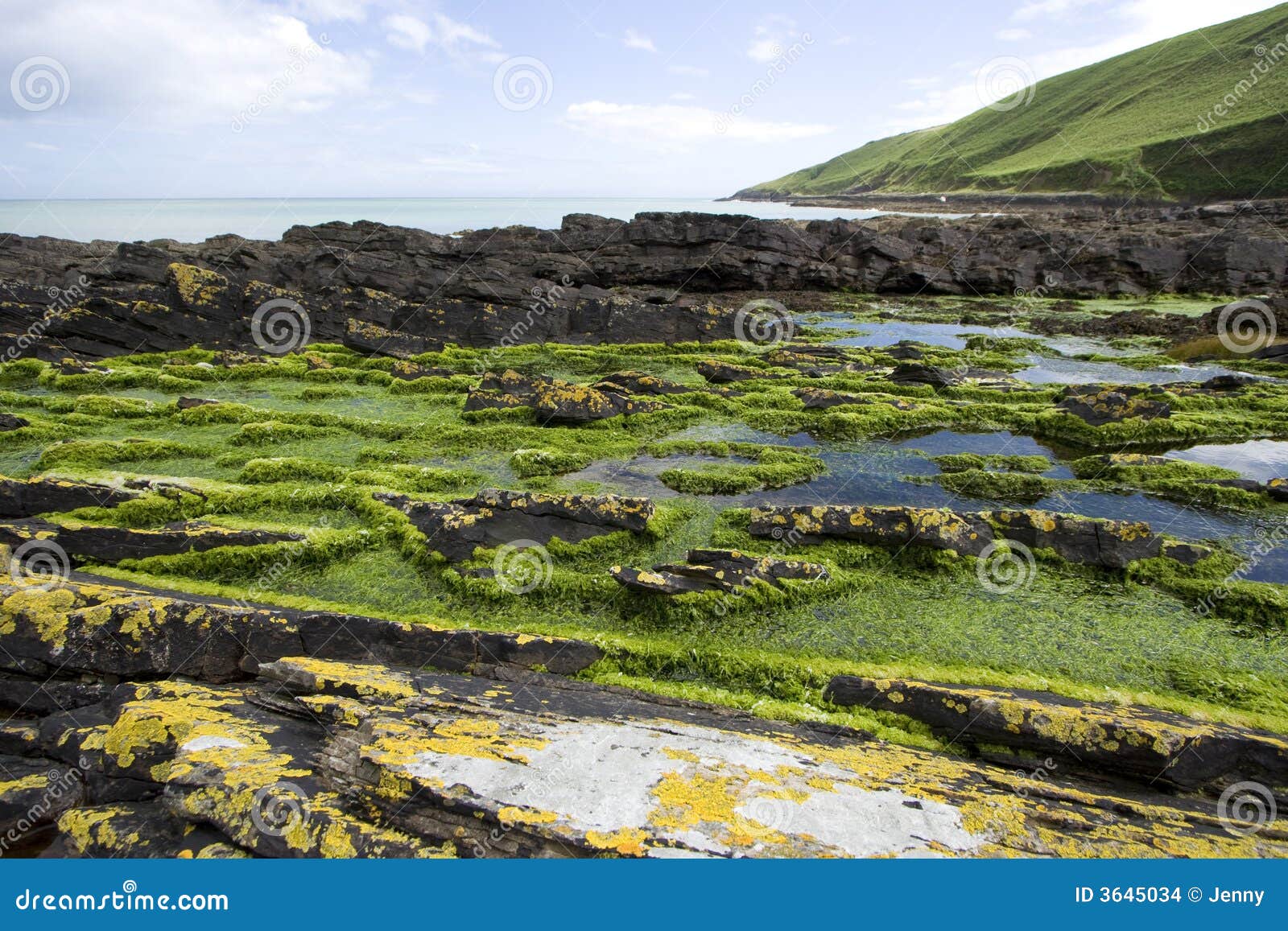 Rugged Coastline in Ireland Stock Photo - Image of ireland, isolation ...