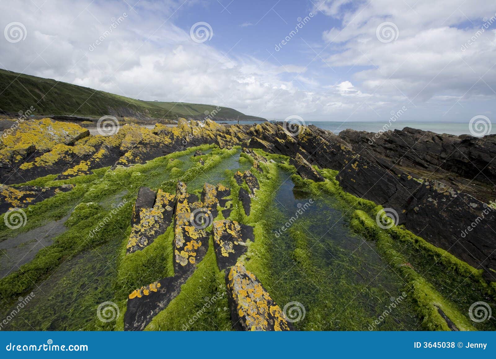 Rugged Coastline in Ireland Stock Photo - Image of algae, coastal: 3645038